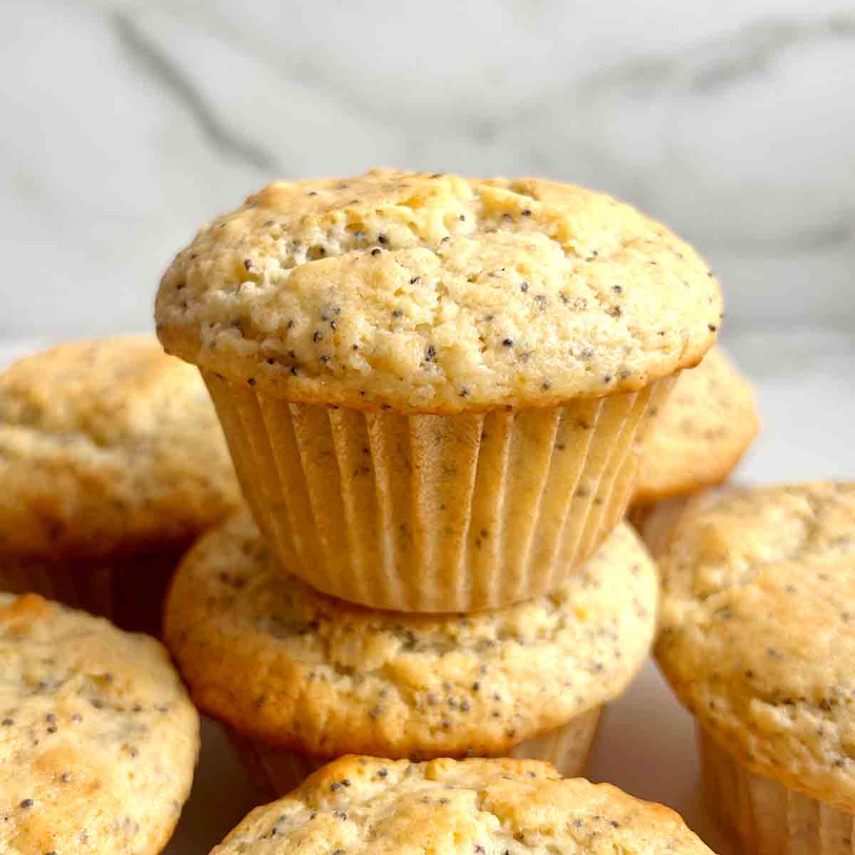 Lemon Poppy Seed Muffins